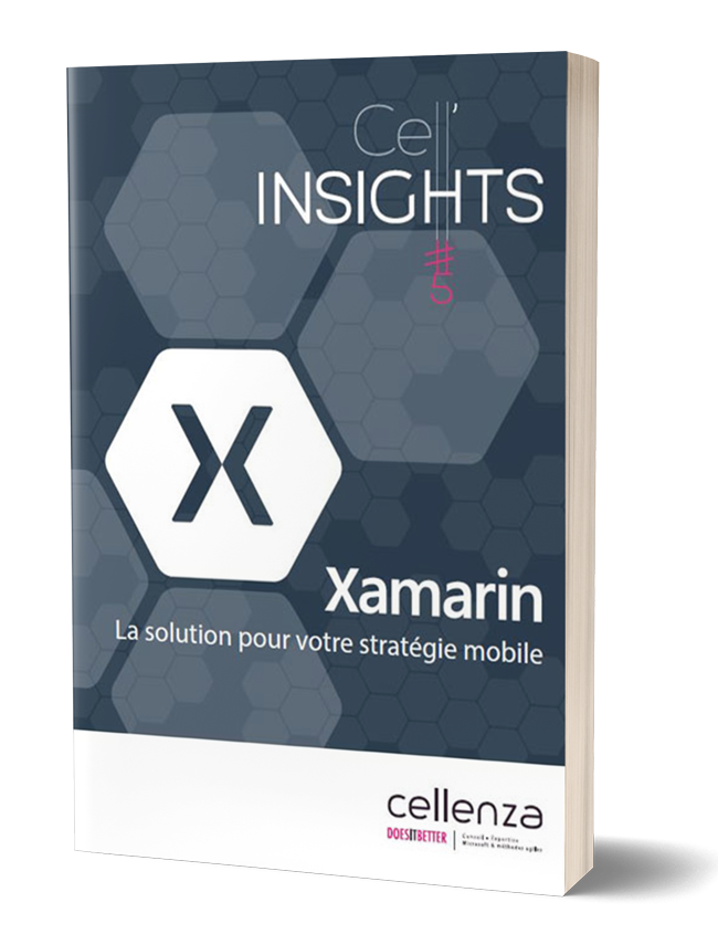 Cellenza - Cabinet de Conseil IT